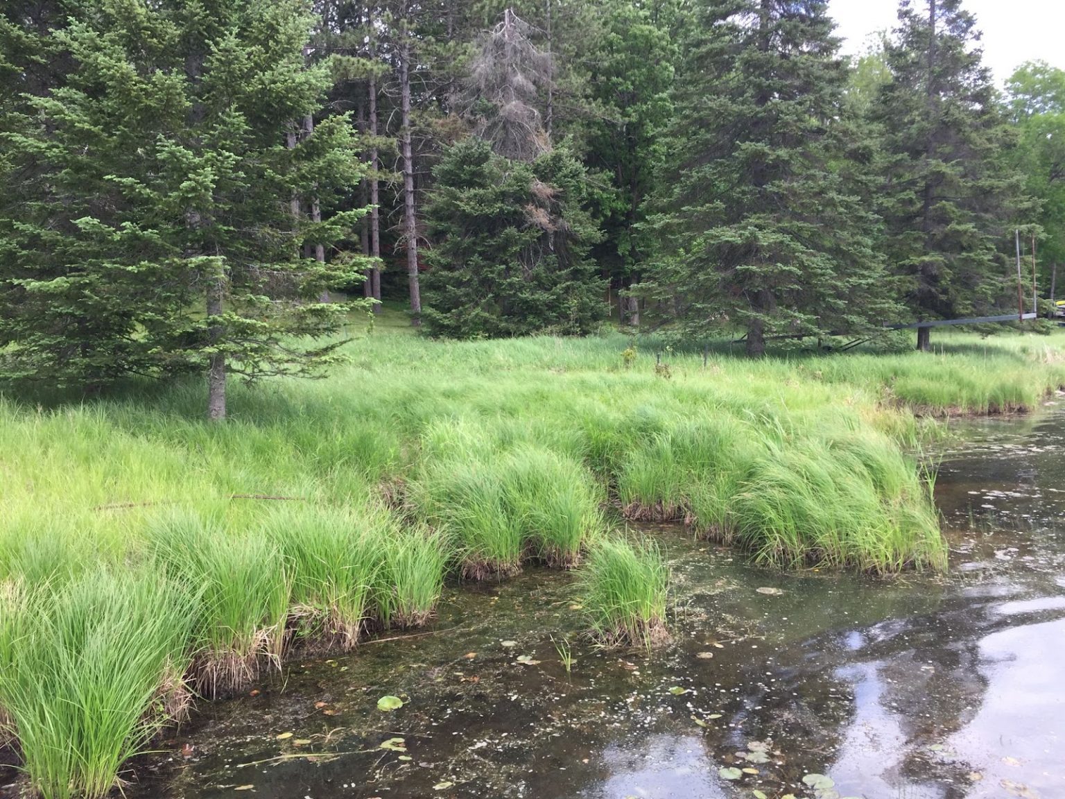First MLR Lake Steward award given to Lloyd Thyen on Lawrence Lake ...