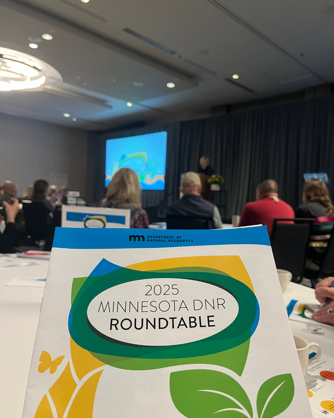 2025 DNR Roundtable – Minnesota Lakes & Rivers Advocates